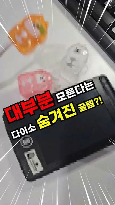 아무도 모른다는 다이소 꿀템 Youtube