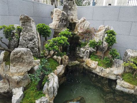 颜值爆表！一起围观绿色家庭、最美阳台、最美庭院！澎湃号·政务澎湃新闻 The Paper