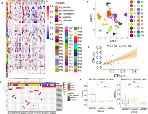 Nat Comm 同济大学周彩存团队从单细胞水平分析晚期肺癌的肿瘤异质性和微环境 知乎