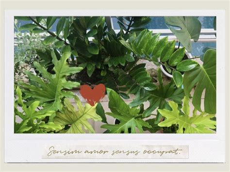 Uyen Nguyen On Linkedin Seniorphp Phpdeveloper Qa