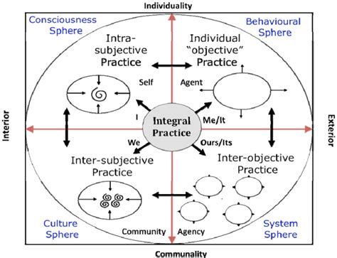 Framework Of An Integral Pheno Pragma Practice See Online Version For Download Scientific