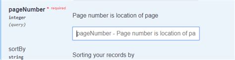 Default Zero Not Allowed In Parameters · Issue 5573 · Swagger Api