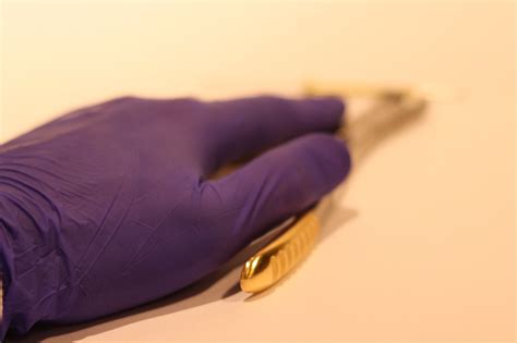 Disposable Gloves Surgical Free Photo On Pixabay Pixabay