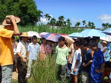 科学网海南甘蔗育种场参观实习 刘进平的博文