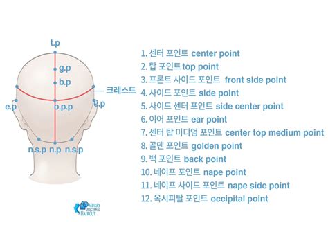 1 센터포인트 Cpcentar Point 2 탑포인트 Tptop Point 3 프론트 사이드 포인트 Fsp