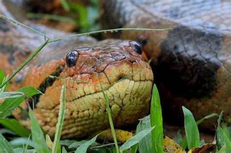 Vedran Badjun 22 Azra Magazin