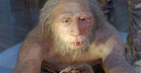 300000 Year Old Skull Of ‘maba Continues To Puzzle Scientists As It