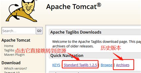 下载JSTL标签库jar包 Tomcat9和Tomcat10引入的JSTL标签库不一样了 280887072 博客园
