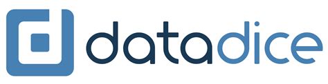 Datadice Custom Analytics Data Strategy And Ai Services
