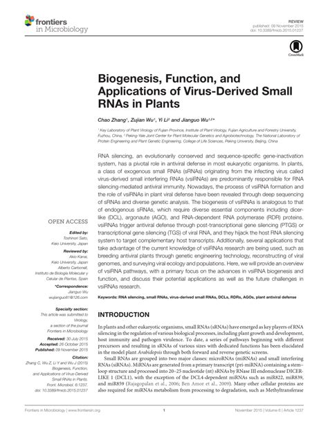Pdf Biogenesis Function And Applications Of Virus Derived Small