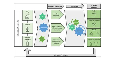 Concatenating Microbial Enzymatic And Organometallic Catalysis For