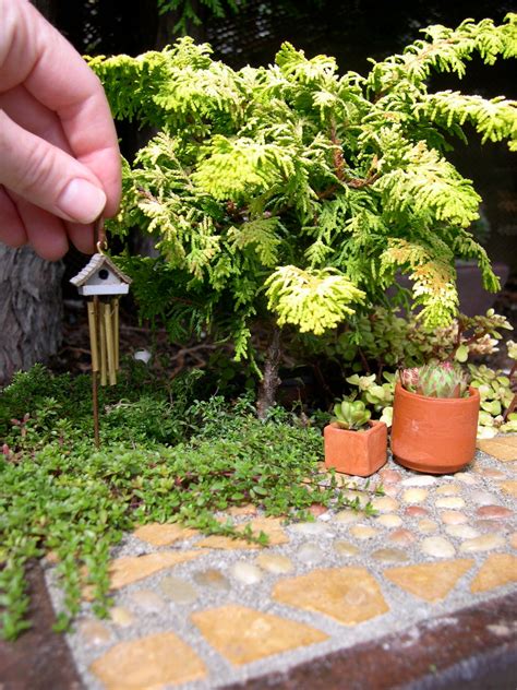Plants Trees And Shrubs The Miniature Garden Society