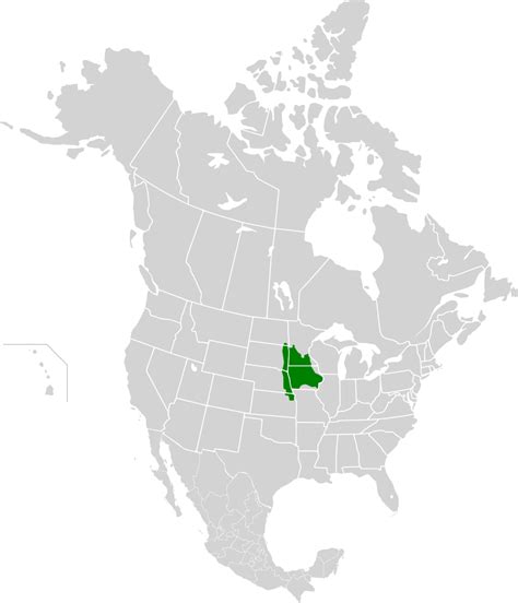 Central Tall Grasslands Wikipedia
