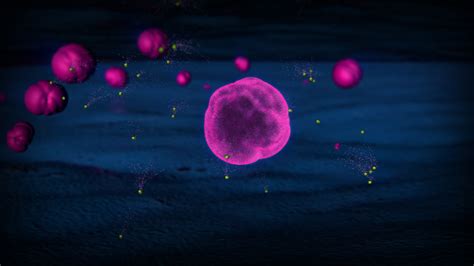 Particle Systems Iv Animation