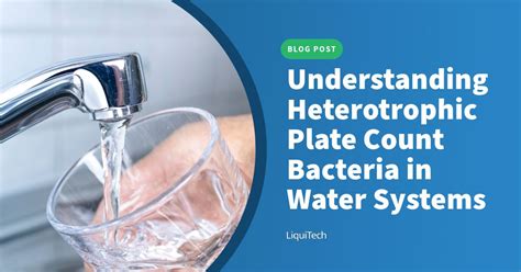 Heterotrophic Plate Count Hpc Bacteria In Water Systems Liquitech