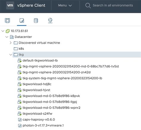 getting started with vmware tanzu kubernetes grid cli tanzu