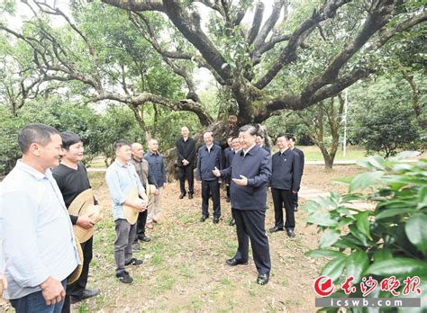 坚定不移全面深化改革扩大高水平对外开放 在推进中国式现代化建设中走在前列 长沙晚报网