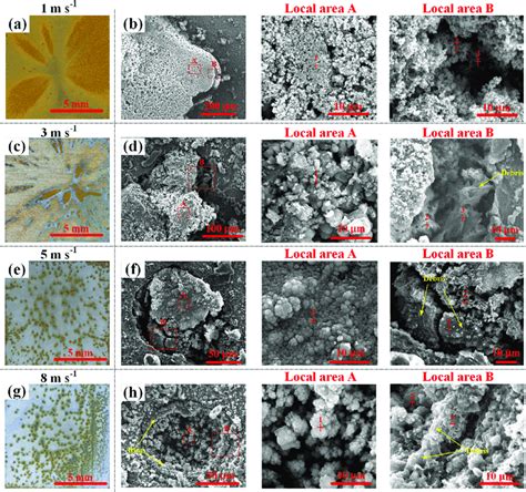 Surface Morphologies Of The Steel Samples After Tested In Natural Download Scientific Diagram