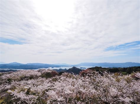 大山展望台 by 雲龍 ID10259012 写真共有サイト PHOTOHITO