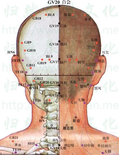 翳風穴位置 翳風穴痛 穴道按摩與穴位引導經絡功效圖解 穴道經絡引導