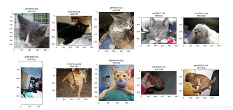 kaggle猫狗大战之alexnet 一 猫狗大战——alexnet模型 csdn博客