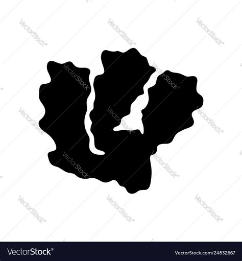 Ginger Royalty Free Vector Image Vectorstock
