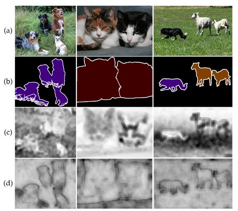 Cct Semi Supervised Semantic Segmentation With Cross Consistency