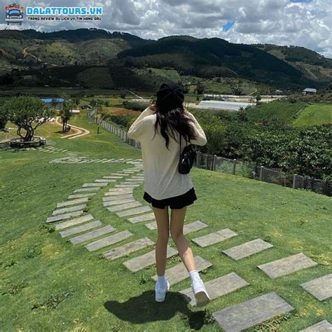 Review Mongo Land Dalat Cập Nhật Giá Vé And địa điểm Vui Chơi
