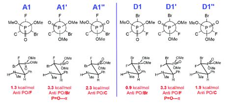 Selected Conformers And Their Relative Potential Energies Kcalmol