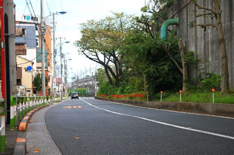 上中里の車坂跨線橋の下に咲く彼岸花とスカイツリー赤羽マガジン
