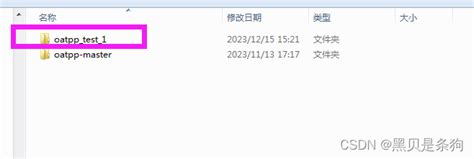 C Oatpp Demo Csdn