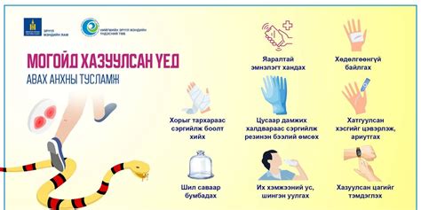 СУУРЬШЛЫН БҮСЭД ХОРТОЙ МОГОЙ ИХЭЭР ҮЗЭГДЭХ БОЛЖЭЭ