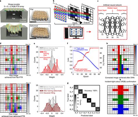 High Density Imaging Demonstration Using The Intrinsically Stretchable