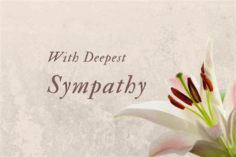 65 Heartfelt Sympathy Images [perfect For Social Sharing]