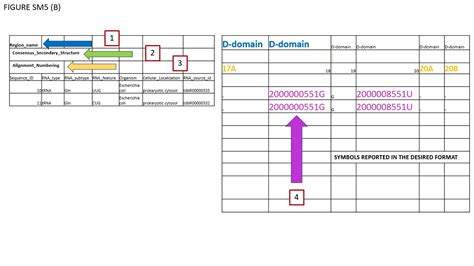 Modomics A Database Of Rna Modifications