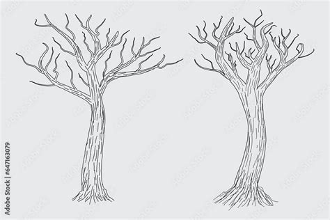Hand Drawn Winter Bare Tree Sketch Vector Bare Trees Leafless Dead Old