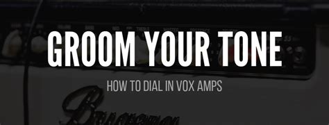 Best Vox Settings Moustache Audio