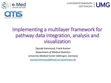 pdf implementing a multilayer framework for pathway igst it · implementing a multilayer