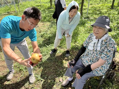 船橋のなしプレミアムセットで船橋の梨農家を訪れるツアー実施秋満月や船橋のなし加工品セットもセットに みんなで船橋を盛り上げる