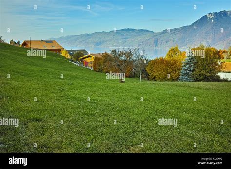 Amazing Autumn Landscape Of Typical Switzerland Village Near Town Of
