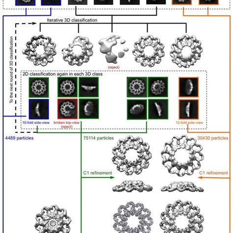 Fig S2 Schematic Workflow Of 2d3d Classification To Sort Out