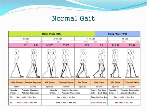 PPT Analysis Of Normal Gait PowerPoint Presentation ID 1862308