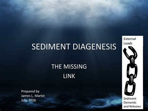 Ppt Sediment Diagenesis And Nutrient Release Understanding The