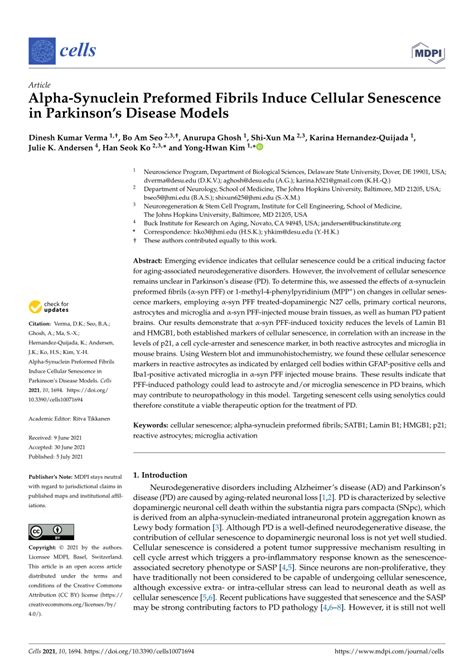 Pdf Alpha Synuclein Preformed Fibrils Induce Cellular Senescence In Parkinsons Disease Models