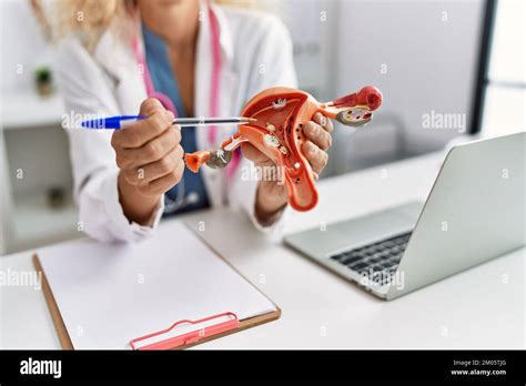 Middle Age Blonde Woman Wearing Doctor Uniform Holding Anatomical Model