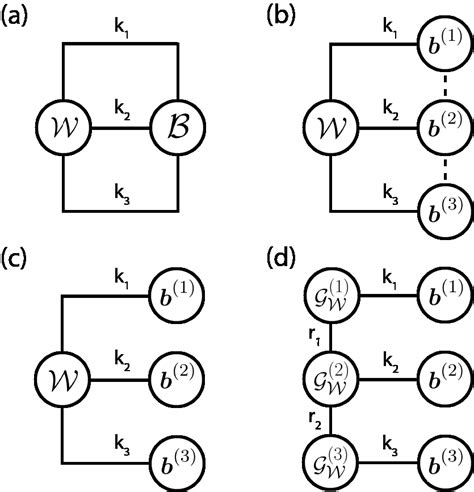 derivation of the tensor network b splines model of order 3 download