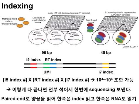 single cell rna sequencing ppt