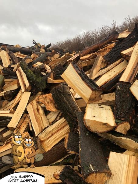 Дрова в наличие микс: клен, карагач, тополь. Доставка по Казани 5 кубов ...