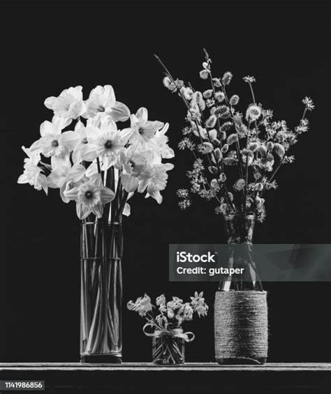 꽃병에 버드 나무와 층 층의 꽃의 꽃다발 검은 배경 흑백 사진에 테이블에 있는 Vaset에서 선화 꽃과 블루 벨 꽃의 꽃다발 0명에 대한 스톡 사진 및 기타 이미지 Istock