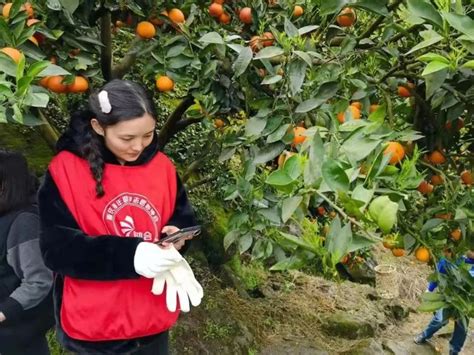 喜迎二十大丨教育赋能，让每个女性享有追梦的权利 今日头条 手机光明网